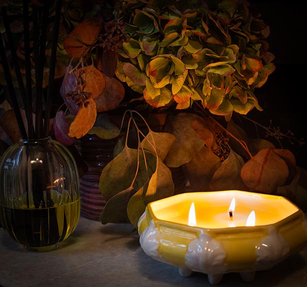Violette candles